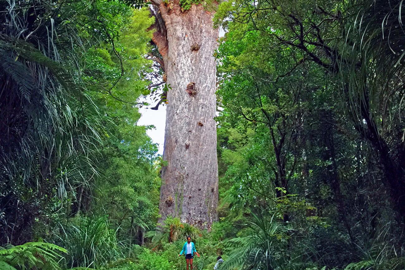 New Zealand in April | Travellers Guide to Weather and Conditions