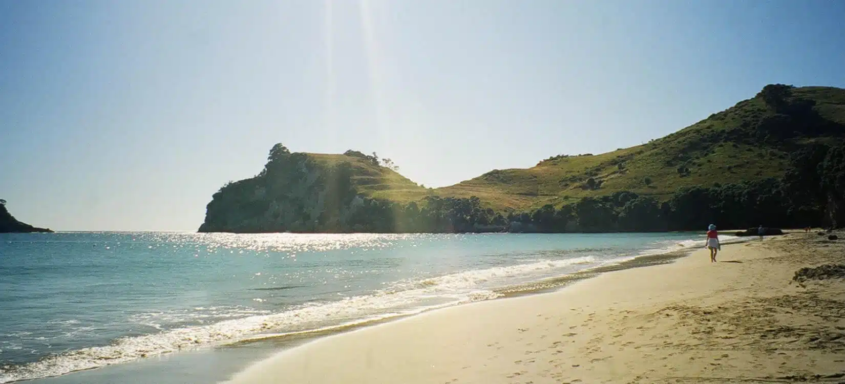 Guide to the Coromandel | MoaTrek